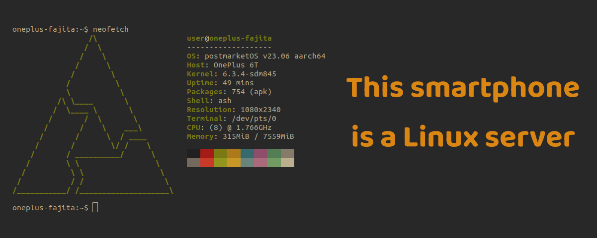 Self-hosting on a Linux smartphone [Smartphone Revival Project] | Kédio ...